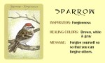 A Message of Self-Forgiveness from Sparrow | Confessions of a Spirit ...